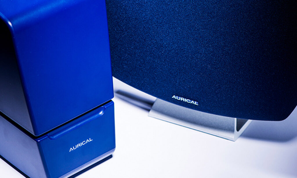 Hearing Balance Academy